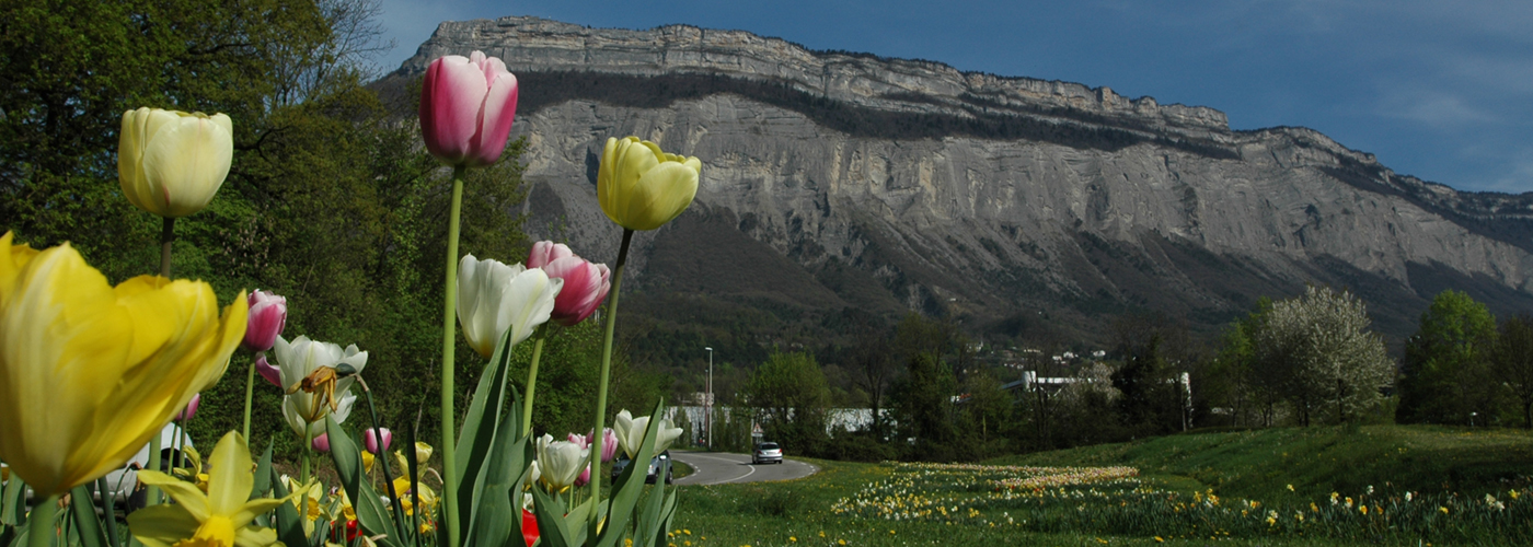 Cadre de vie - Site de la Ville de Meylan