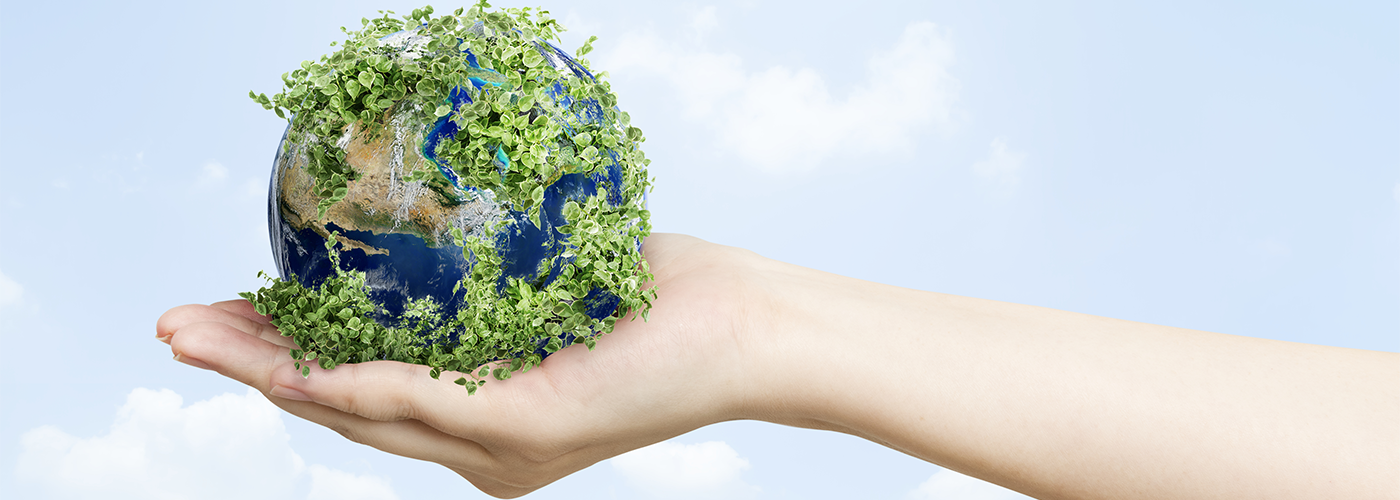 Ecologie : les réalisations - Site de la Ville de Meylan